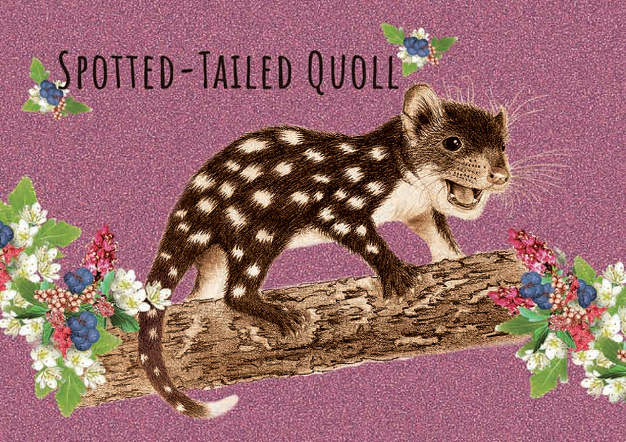 Spotted-Tailed Quoll Puzzle A3 – 24 Piece Educational Jigsaw | Primary Toys