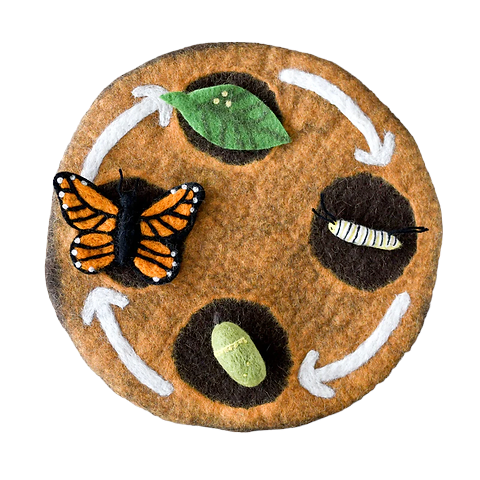 Felt Monarch Butterfly Life Cycle & Mat | Hands-On Exploration & Early ...