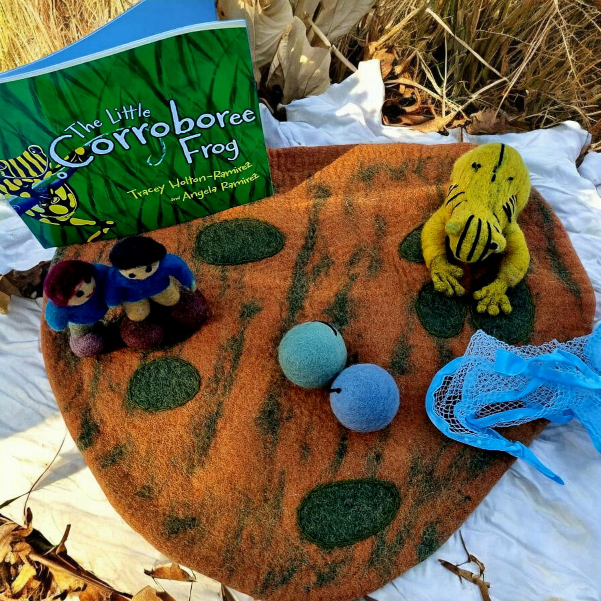 The Little Corroboree Frog Storytelling Set | Indigenous Literacy ...